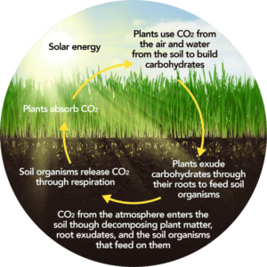 Home - Agoro Carbon Alliance