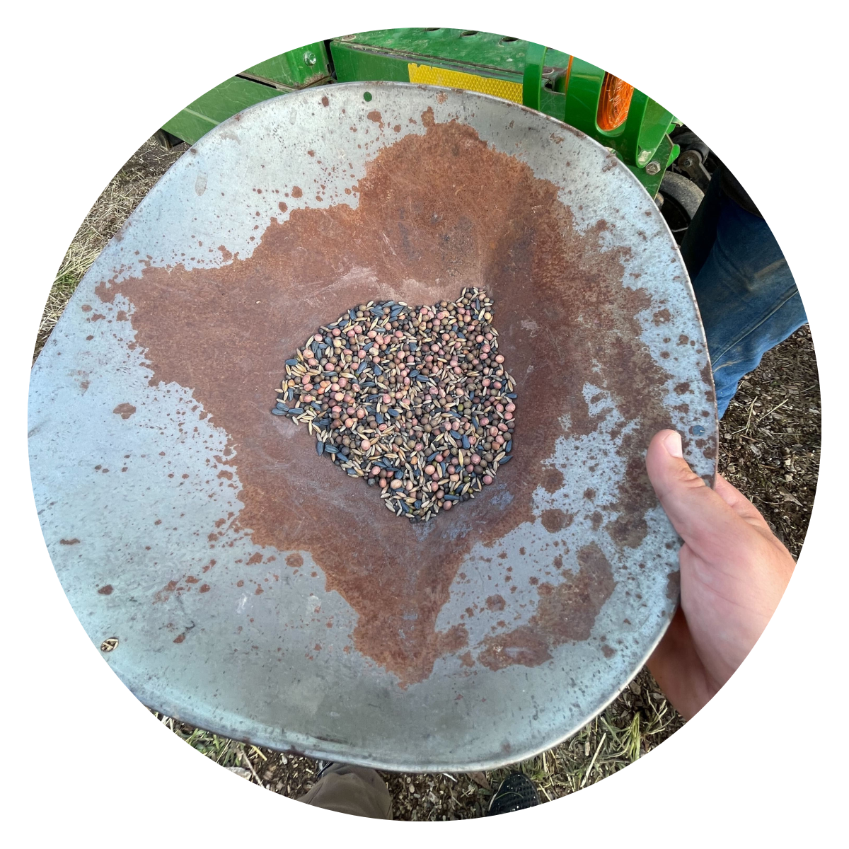 When to Seed and Fertilize Pastures: A Practical Guide - Agoro Carbon ...