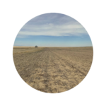 When to Seed and Fertilize Pastures: A Practical Guide - Agoro Carbon ...