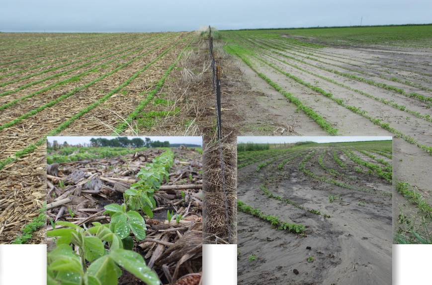 Why Soil Erosion Matters and Methods for Reducing Its Effects - Agoro ...